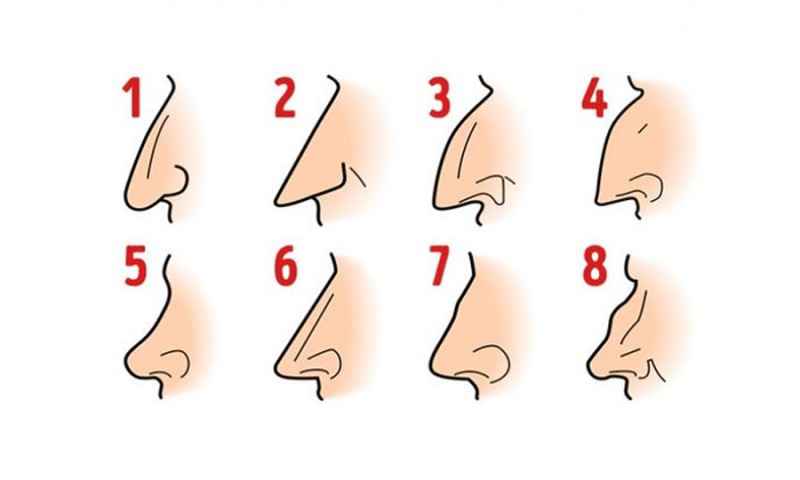 Kepribadian Seseorang Ternyata Dapat Diketahui Dari Bentuk Hidung